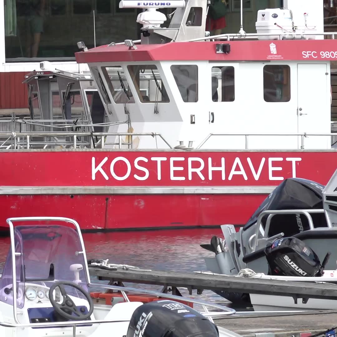 Här testar SVT:s reporter Anitas iskalla tradition | SVT Nyheter